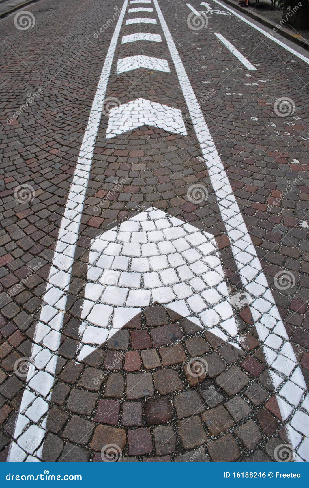 Road for bicycles stock photo. Image of bicycle, park - 16188246