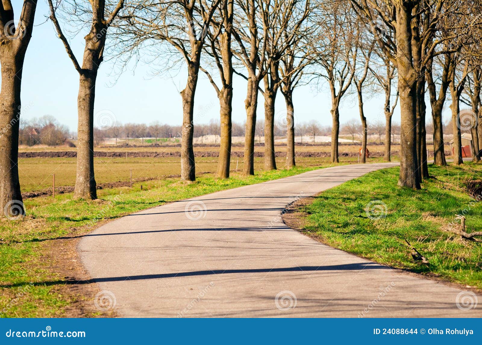 Road for bicycles stock photo. Image of abstract, outside - 24088644