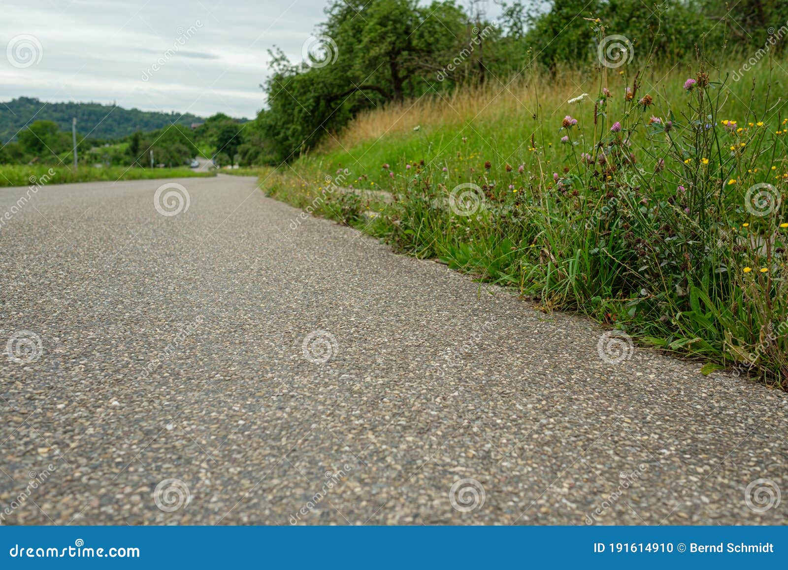 Road with blooming flowers stock photo. Image of landscape - 191614910