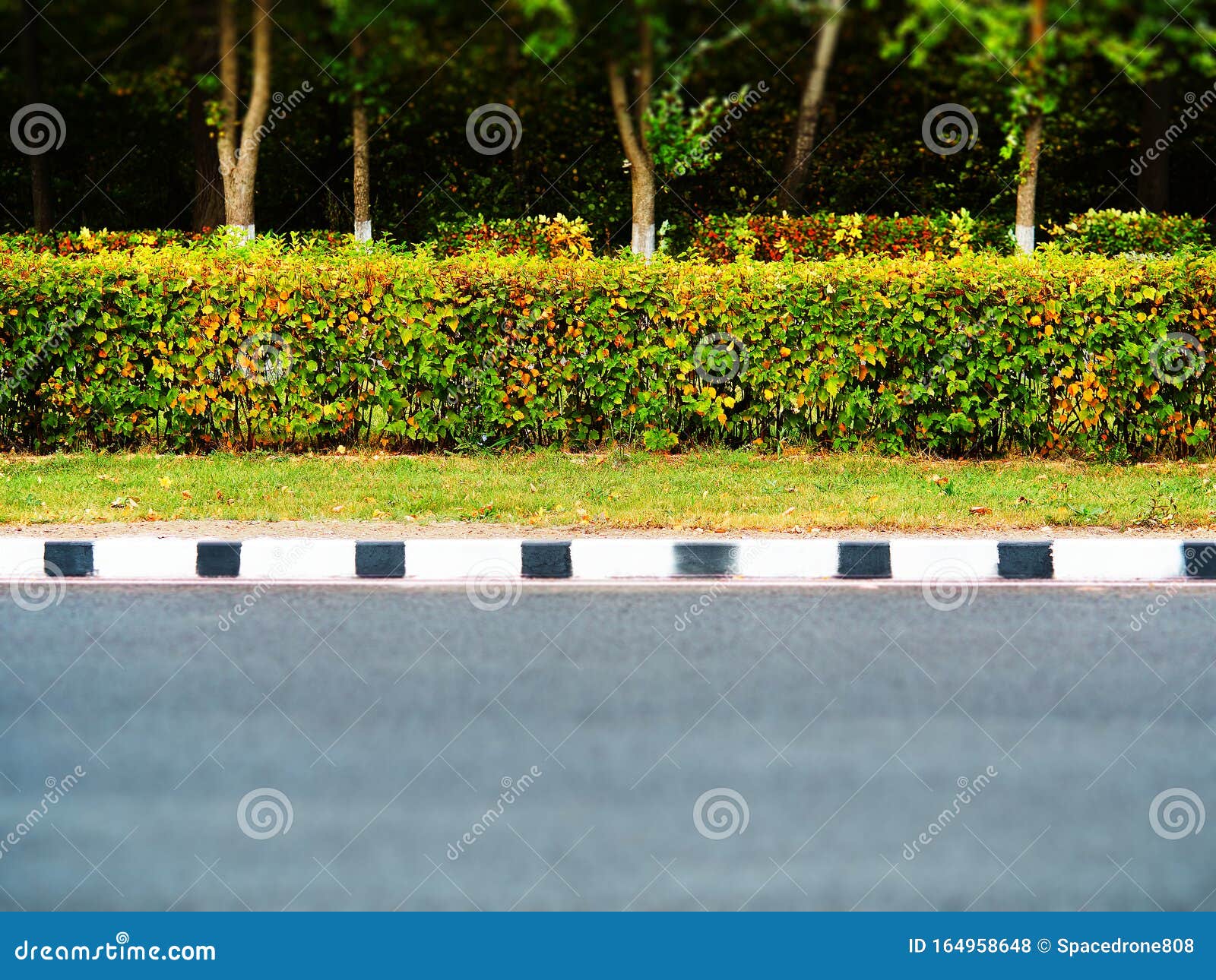 Road Border during Fall Season Transportation Background Stock Photo ...