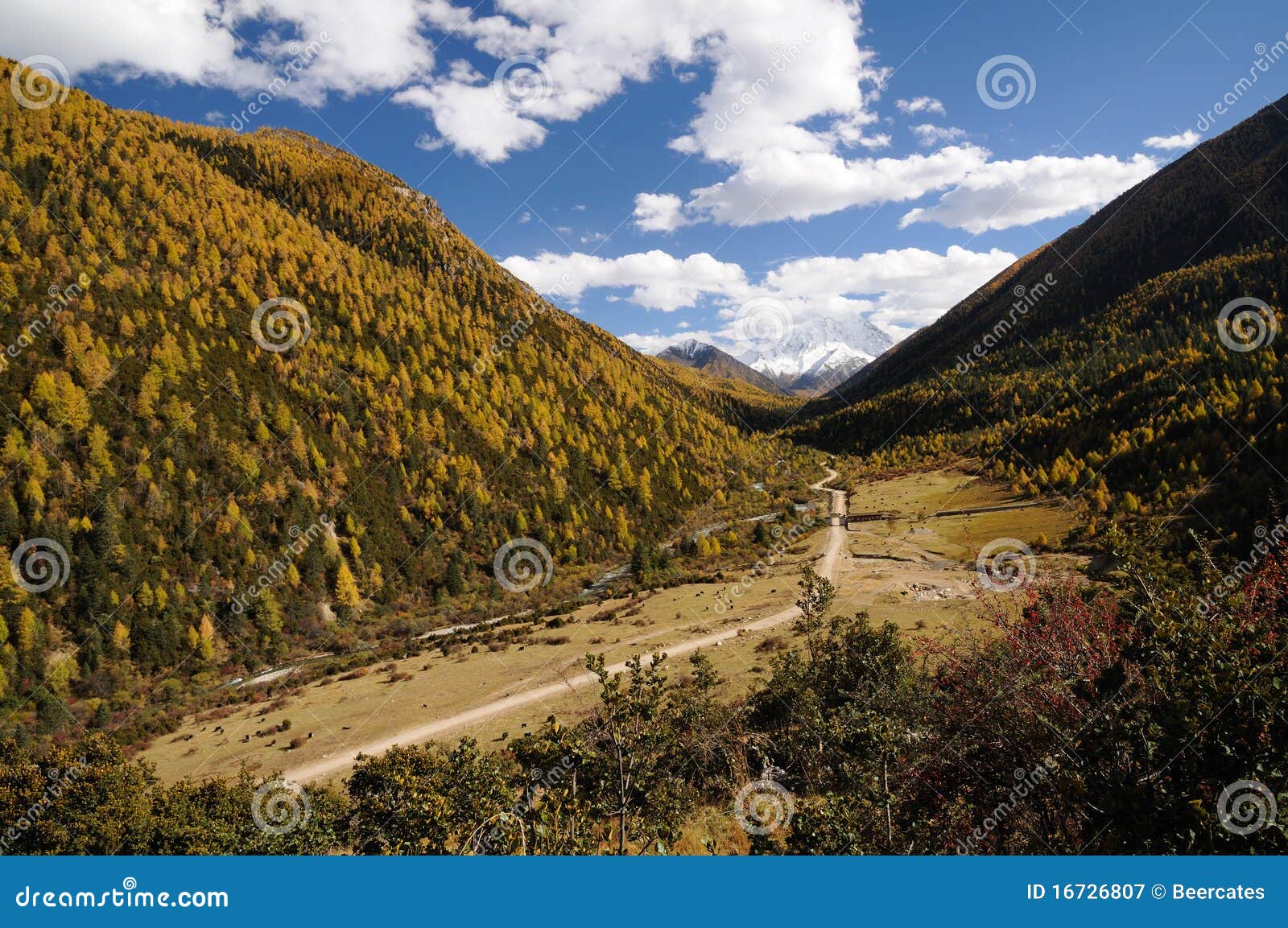 Road at the Bottom of a Valley Stock Image - Image of road, gate: 16726807