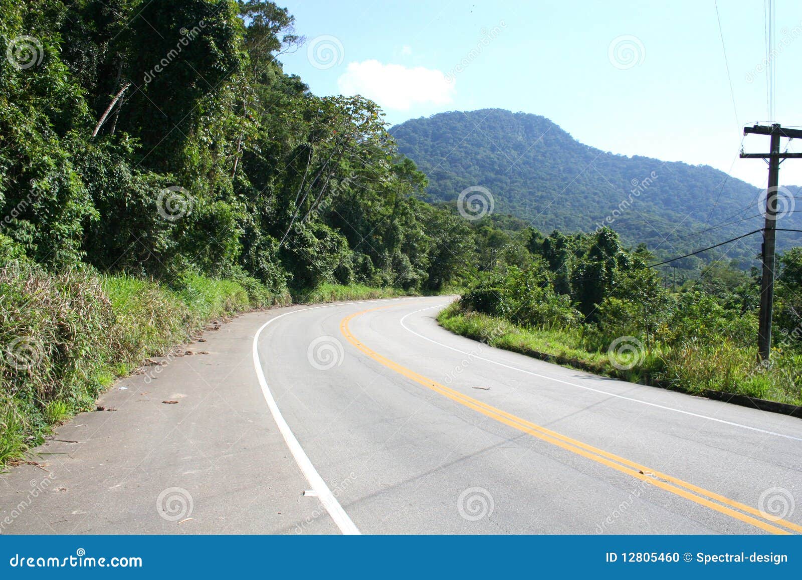 Road in Brazil stock photo. Image of atlantic, plant - 12805460