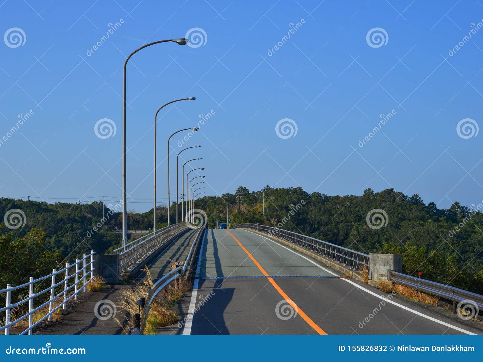 Road with Bridge and Tree Nature in Sunlight Stock Photo - Image of ...