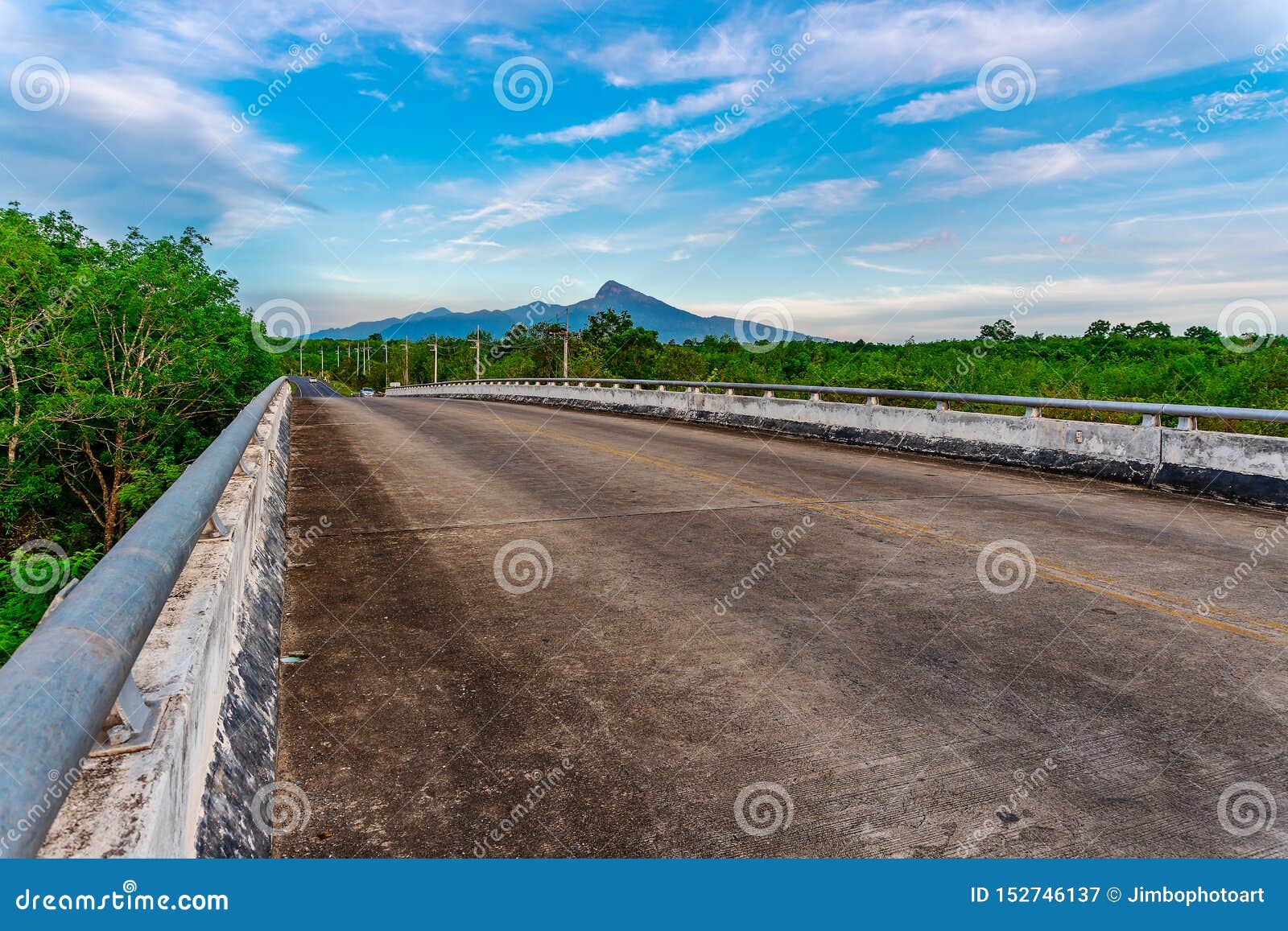 Road with Bridge and Tree Nature in Sunlight Stock Image - Image of ...