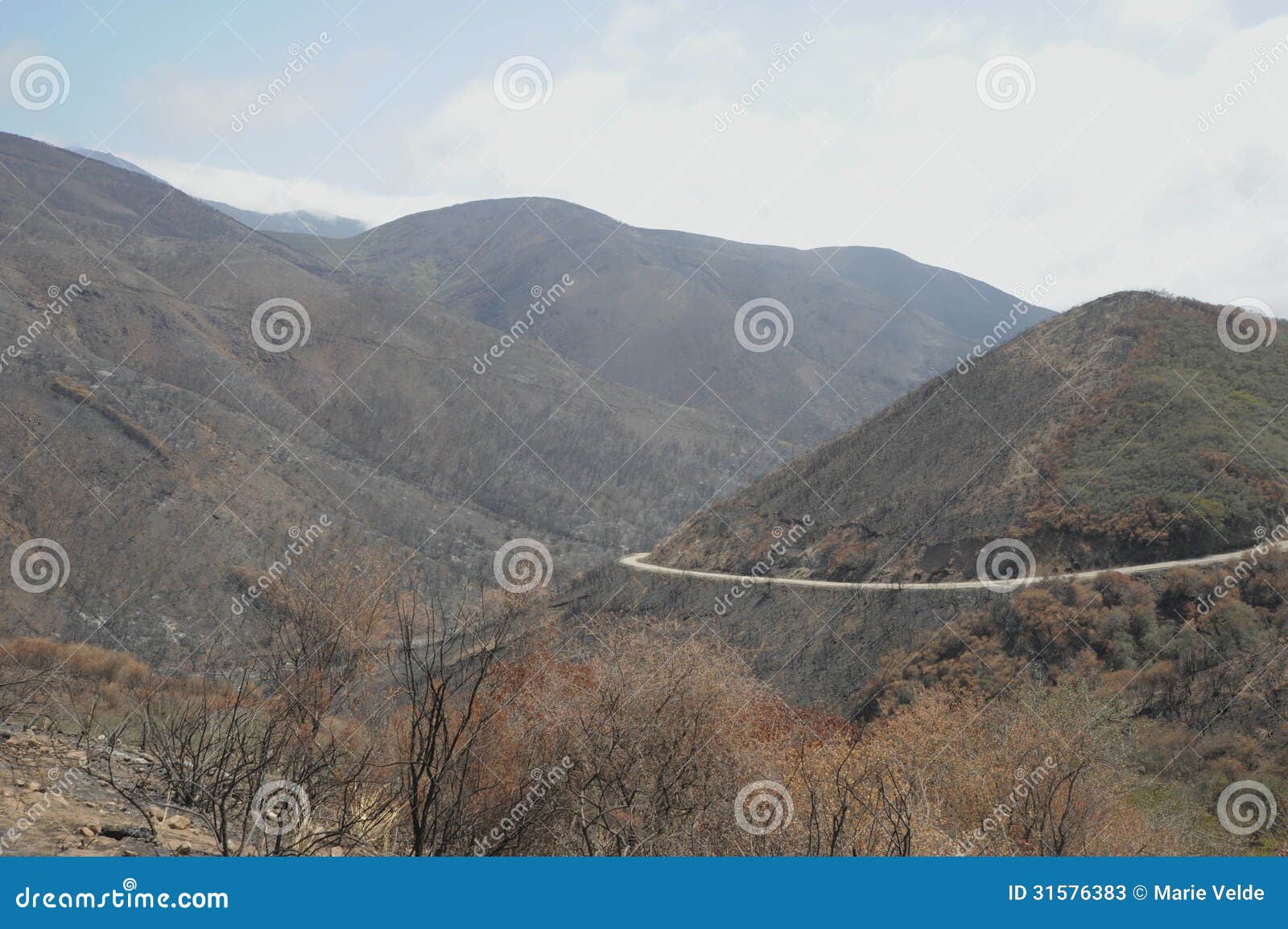 Road into Burnt Land editorial stock photo. Image of satwiwa - 31576383