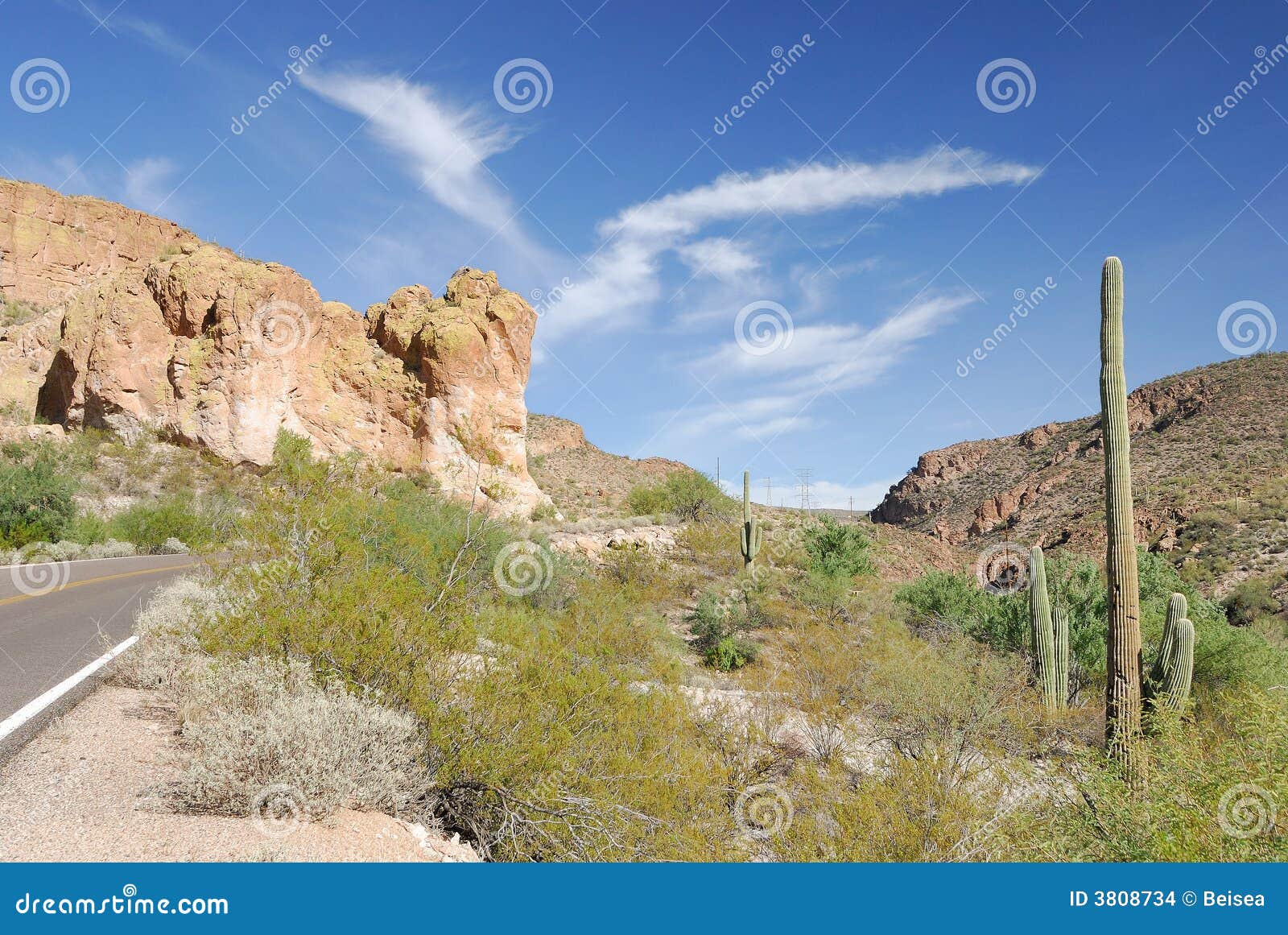Road in Cactus Country stock photo. Image of growth, road - 3808734