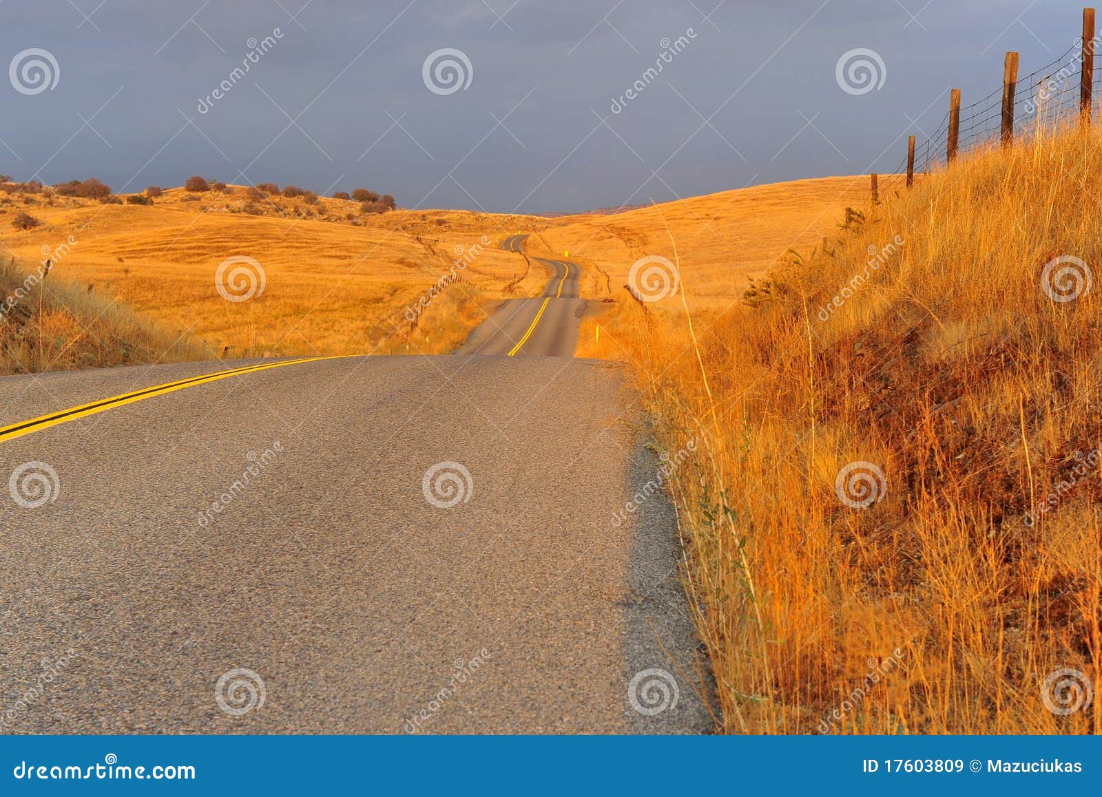 Road in California stock image. Image of autumn, travel - 17603809