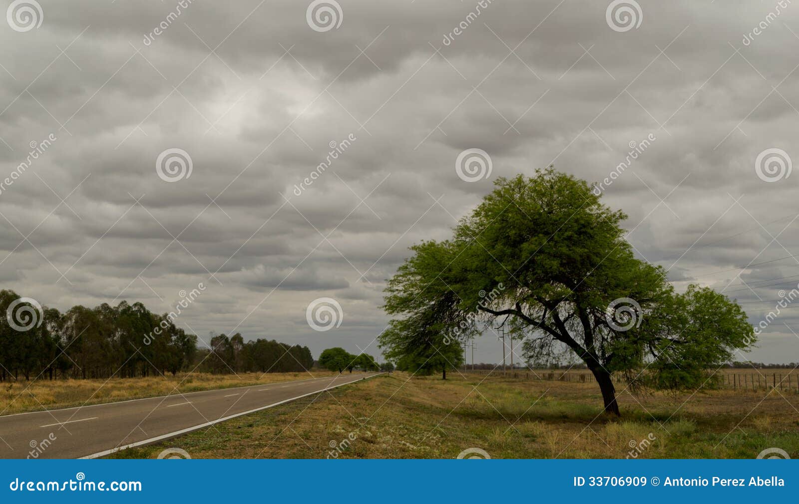 Road stock image. Image of argentina, chaco, region, travel - 33706909