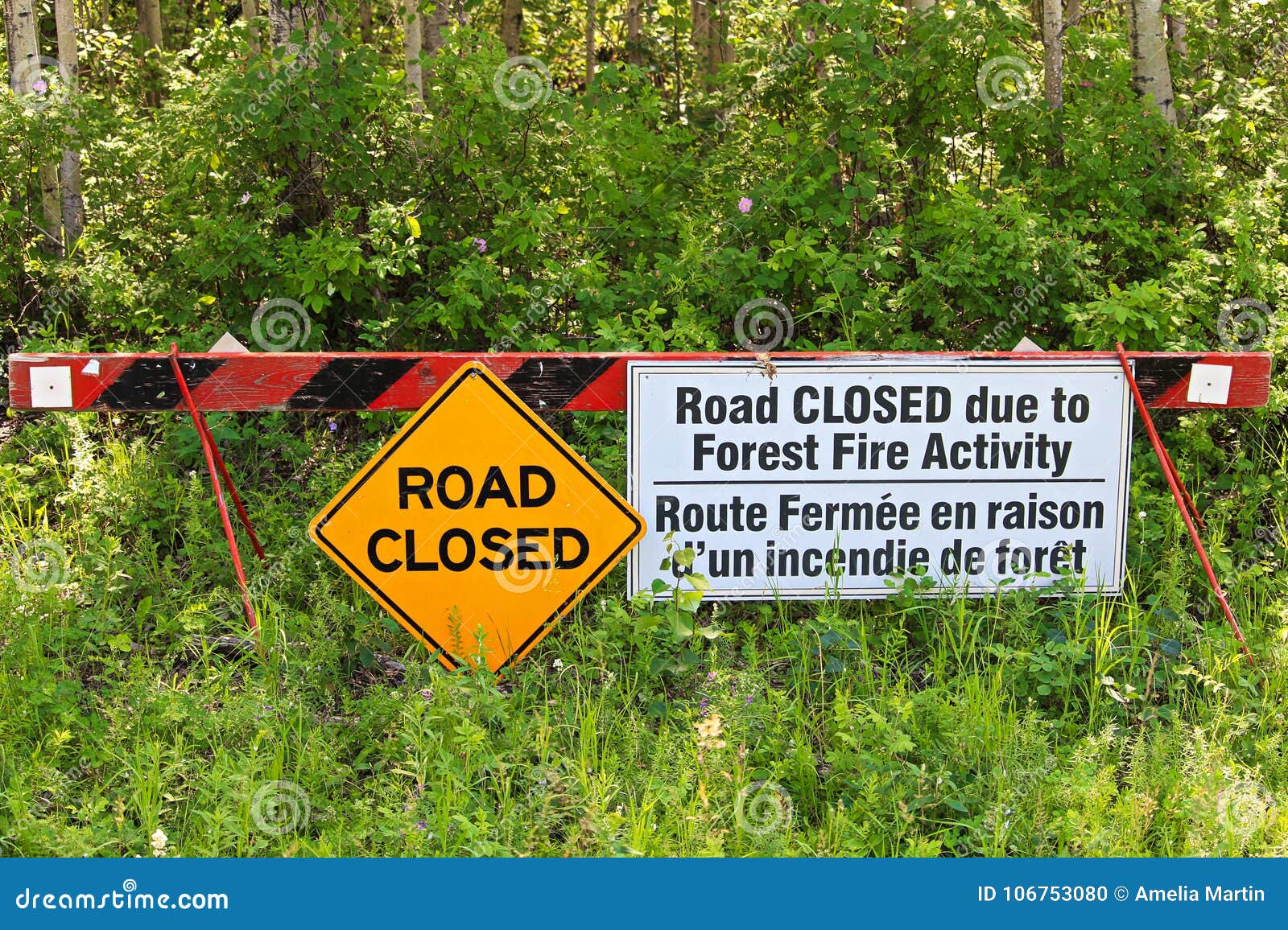 A Road Closed Due To Fire Activity Sign Stock Photo - Image of road ...