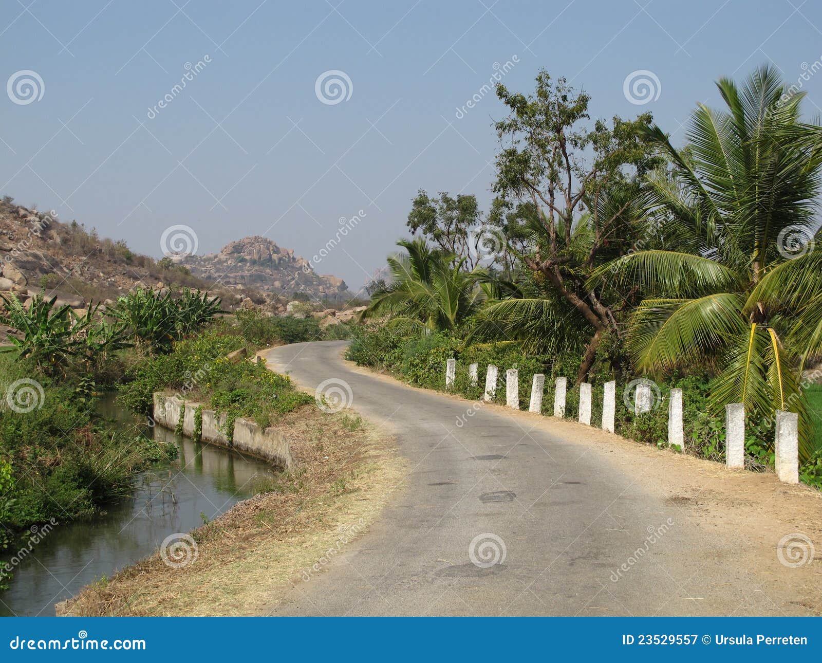 Road and coconut trees stock image. Image of granite - 23529557