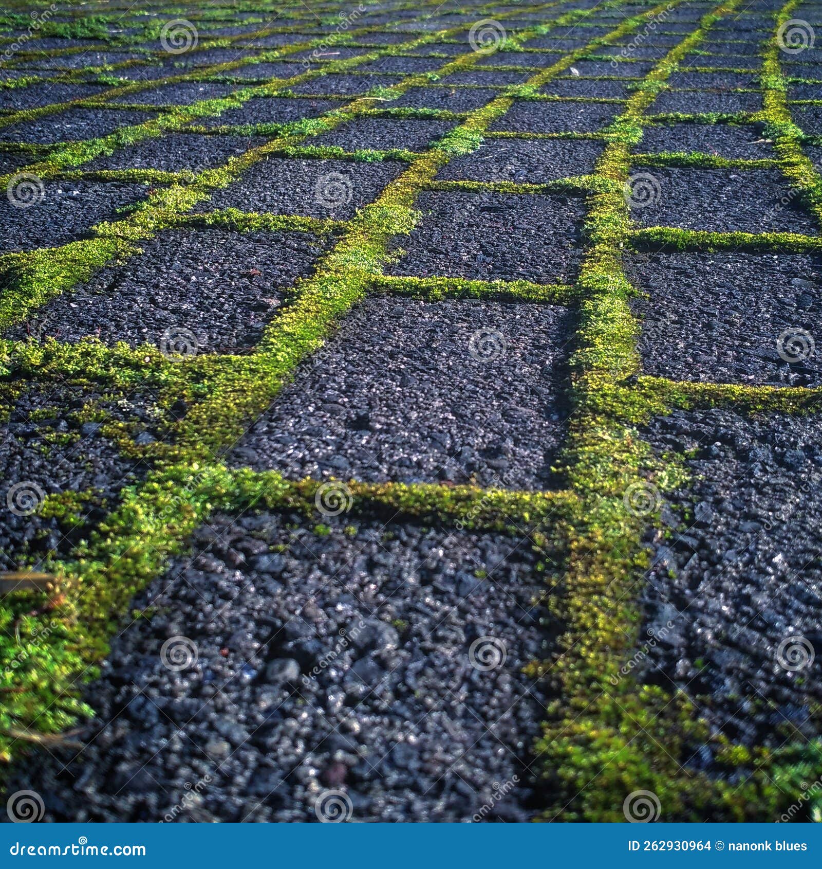 Conblocks Stock Photos - Free & Royalty-Free Stock Photos from Dreamstime