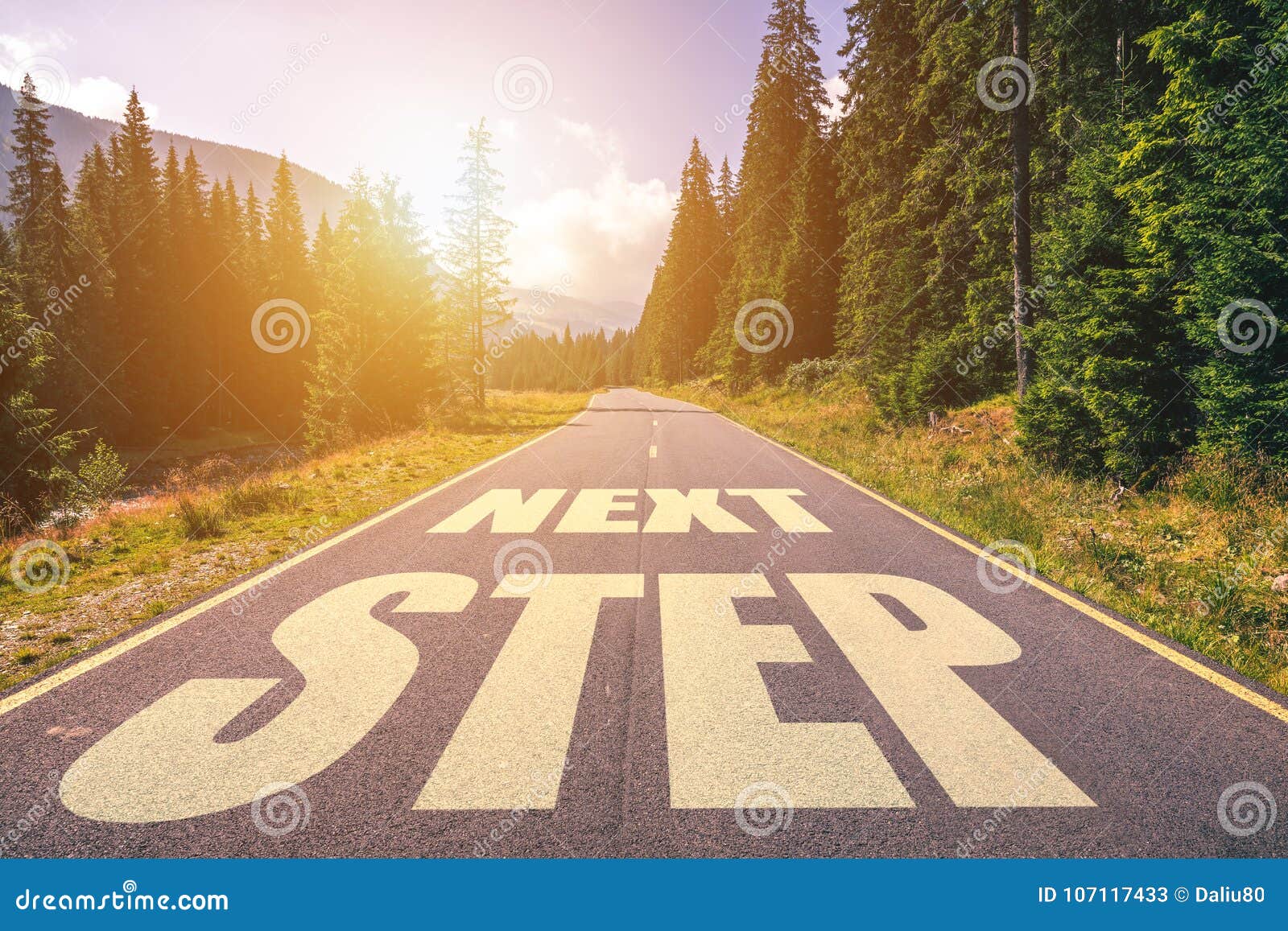 Road Concept, Next Step Written on the Road in the Mountains Stock ...