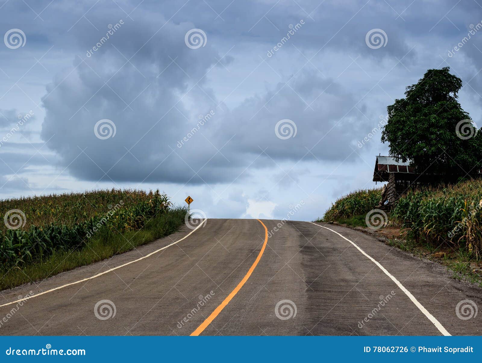 Road in corn farm stock photo. Image of farm, nature - 78062726