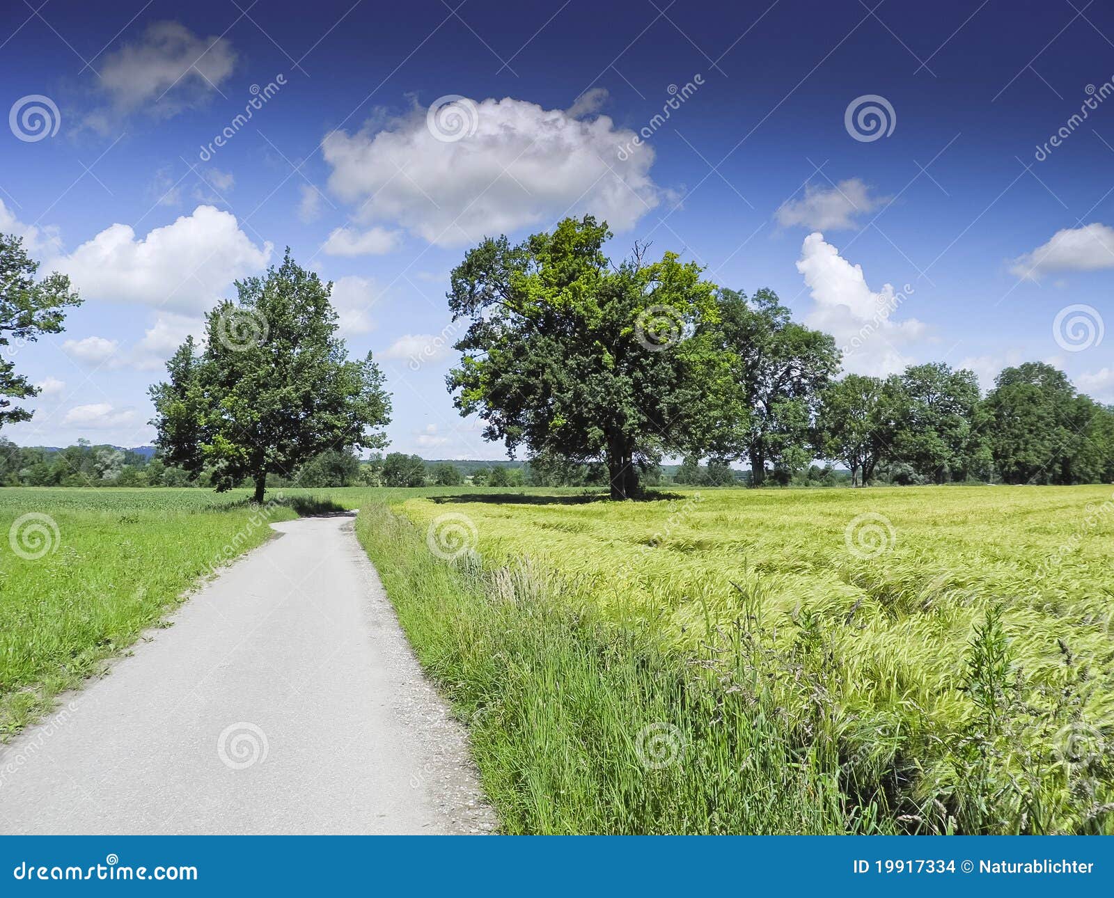 Road through countryside stock photo. Image of crops - 19917334