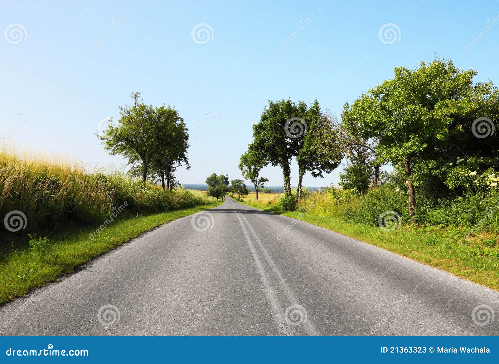 Road in the countryside stock image. Image of forward - 21363323