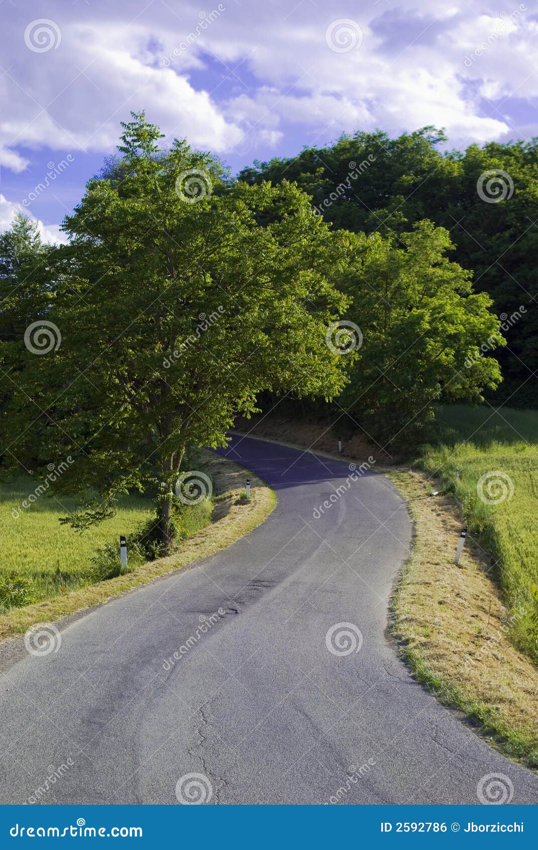 Road in the countryside stock photo. Image of trees, cloud - 2592786