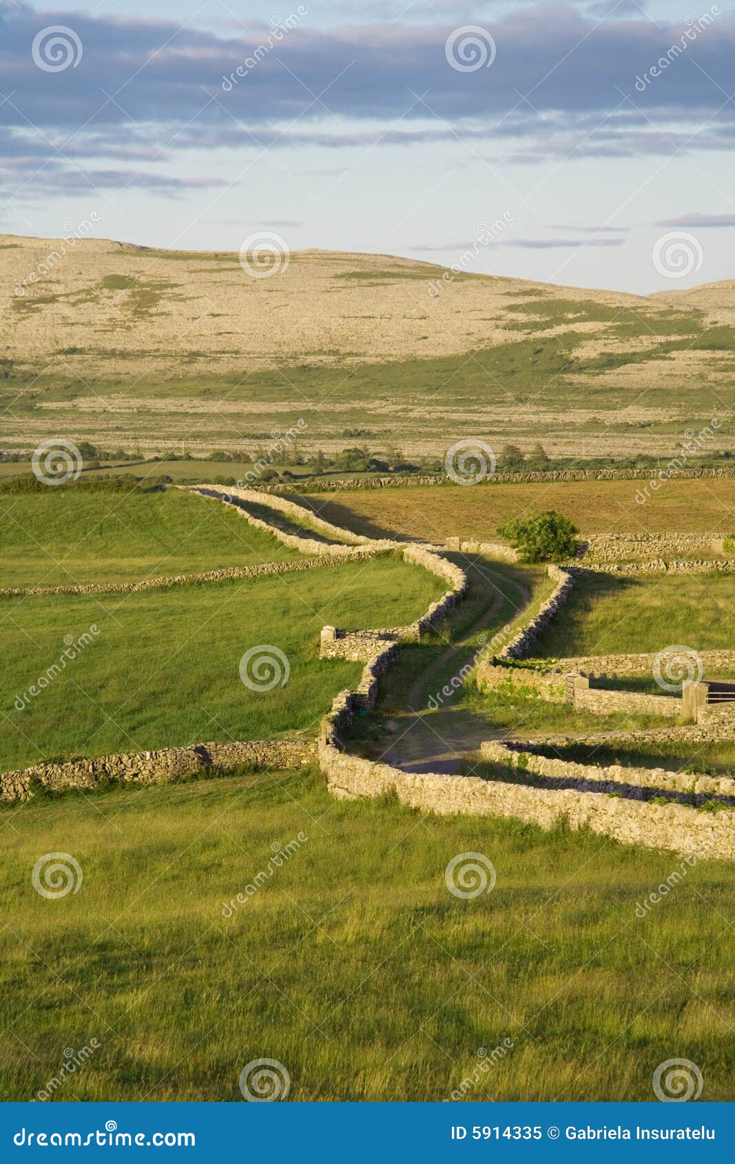 Road in the countryside stock image. Image of landscape - 5914335