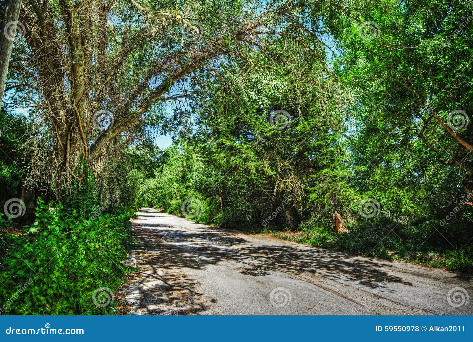 Road in the Countryside in Hdr Stock Photo - Image of road, cultivated ...
