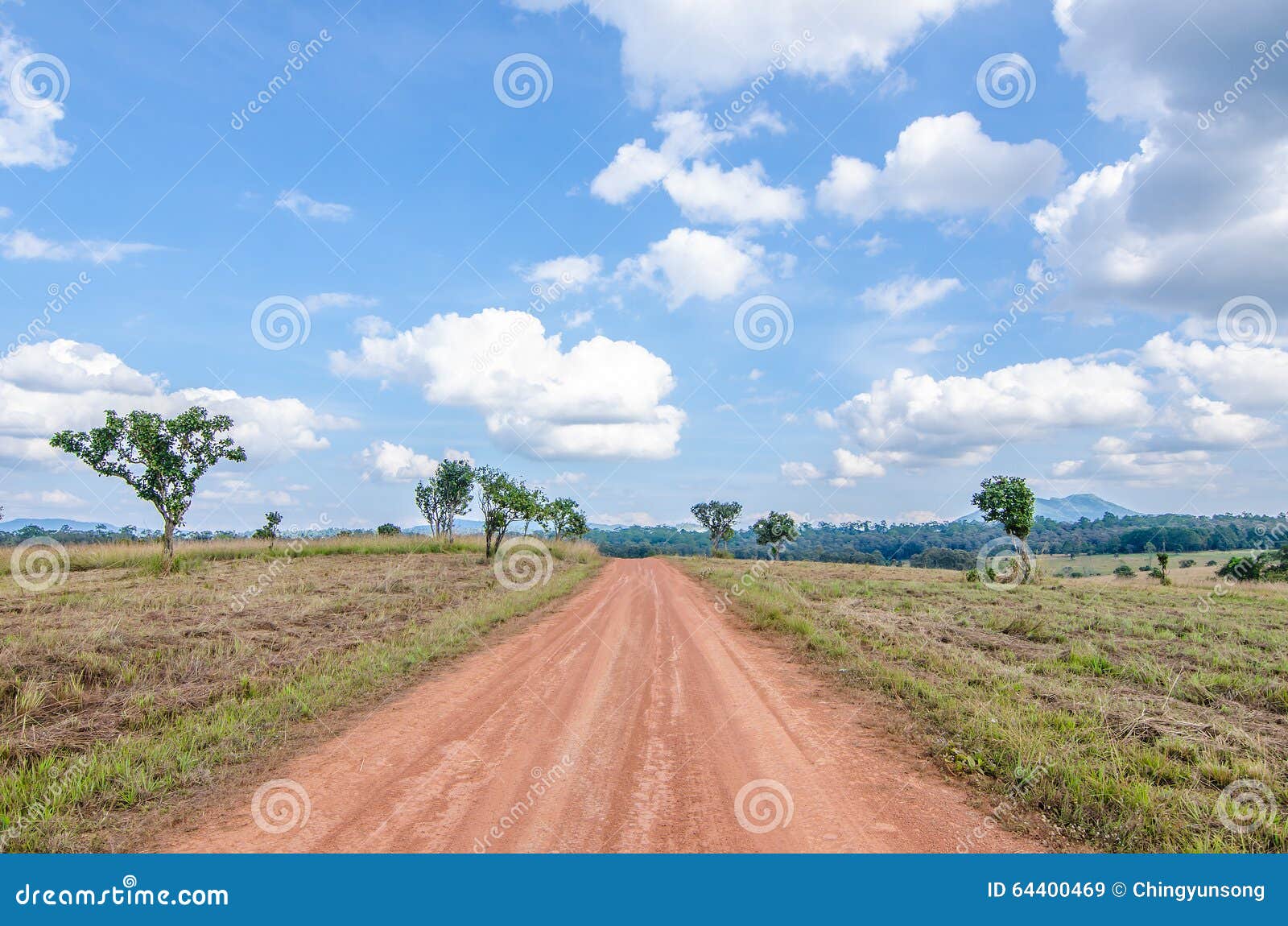 A road in the countryside stock image. Image of forest - 64400469