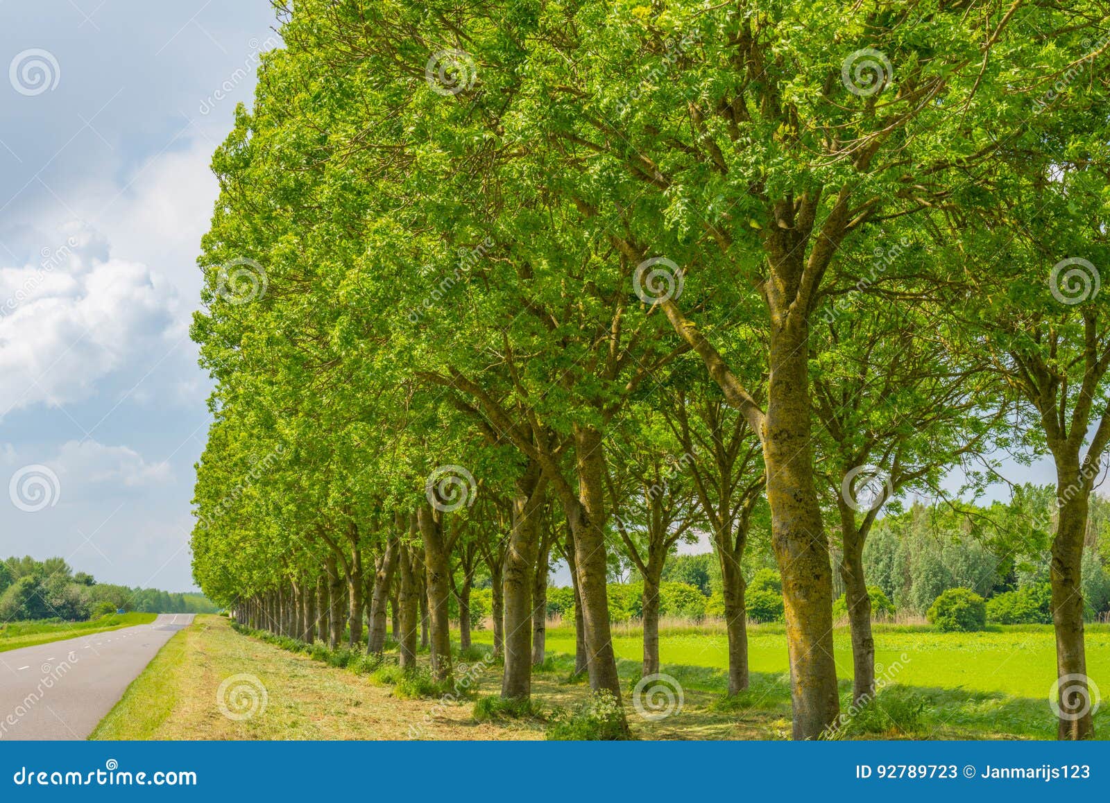 Road through the Countryside in Spring Stock Image - Image of road ...