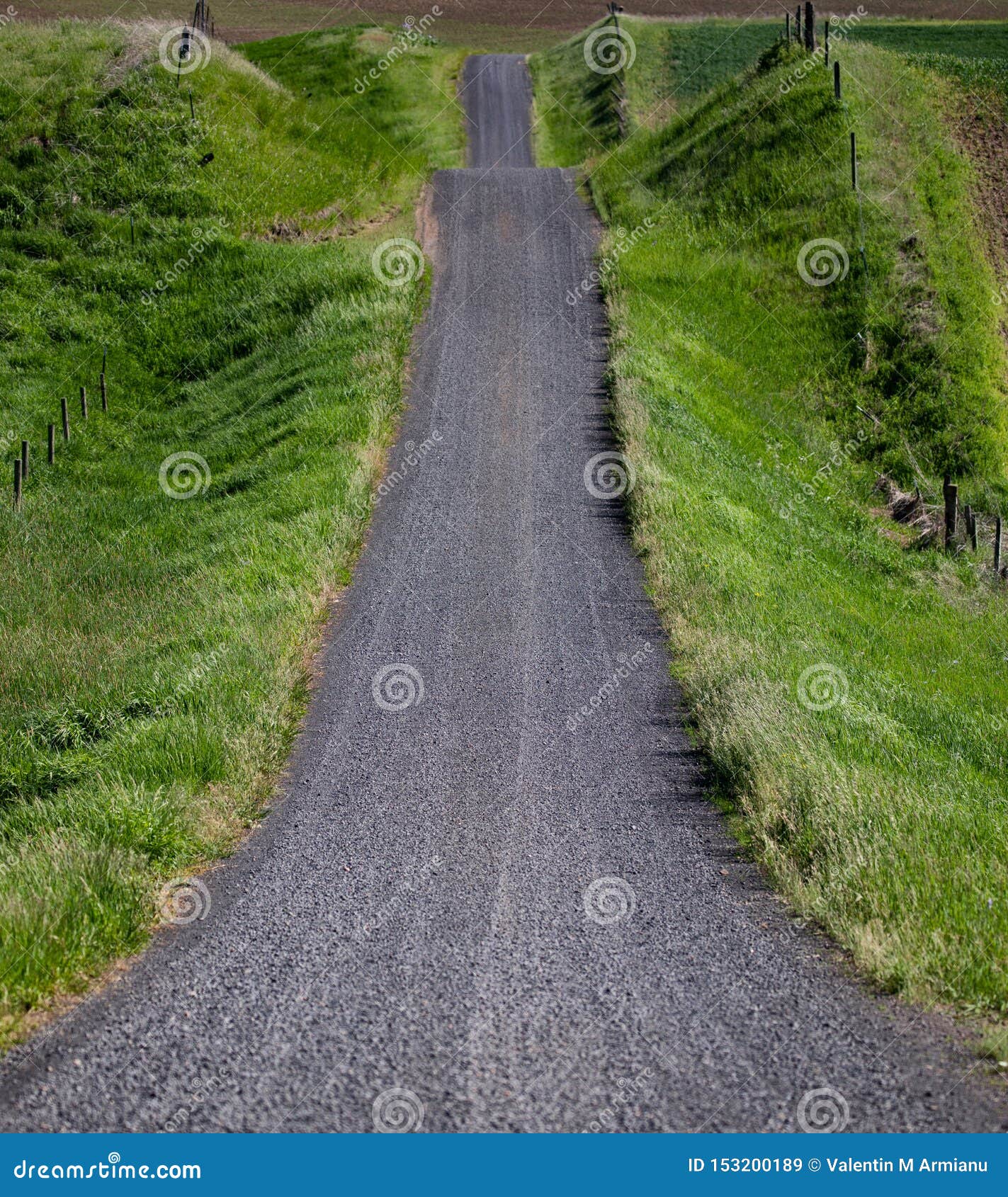 Country road stock image. Image of beautiful, countryside - 153200189