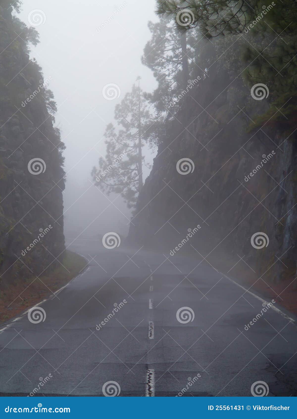 Road covered in mist stock image. Image of tenerife, teide - 25561431