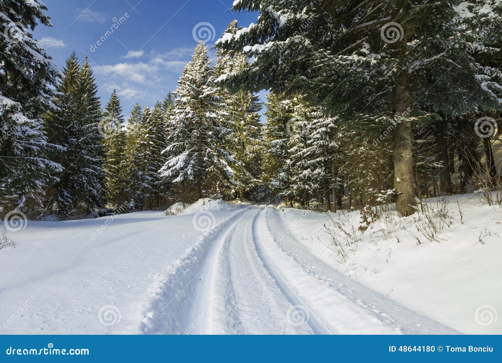 Road Covered in Snow through a Winter Forest Stock Photo - Image of ...