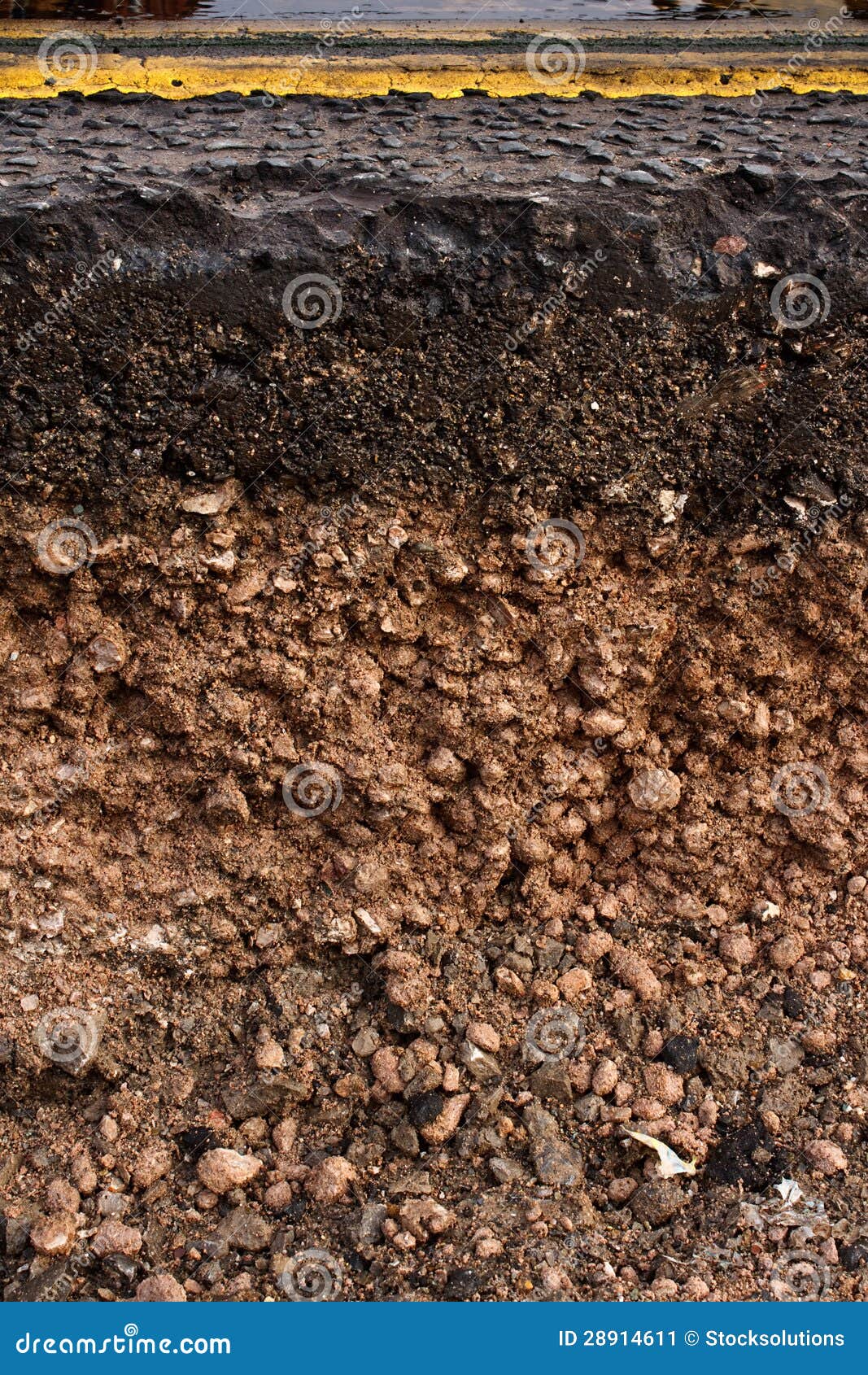 Growing Vegetables In Cross Section Of Soil