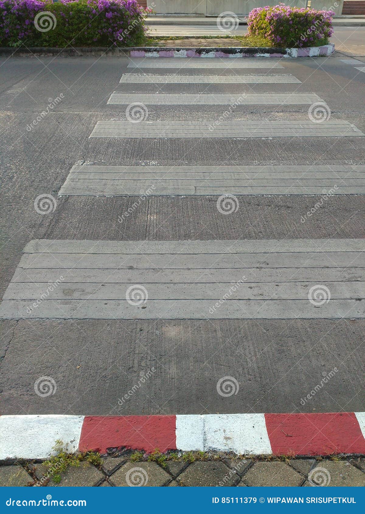 Road cross stock image. Image of zebra, cross, road, walk - 85111379