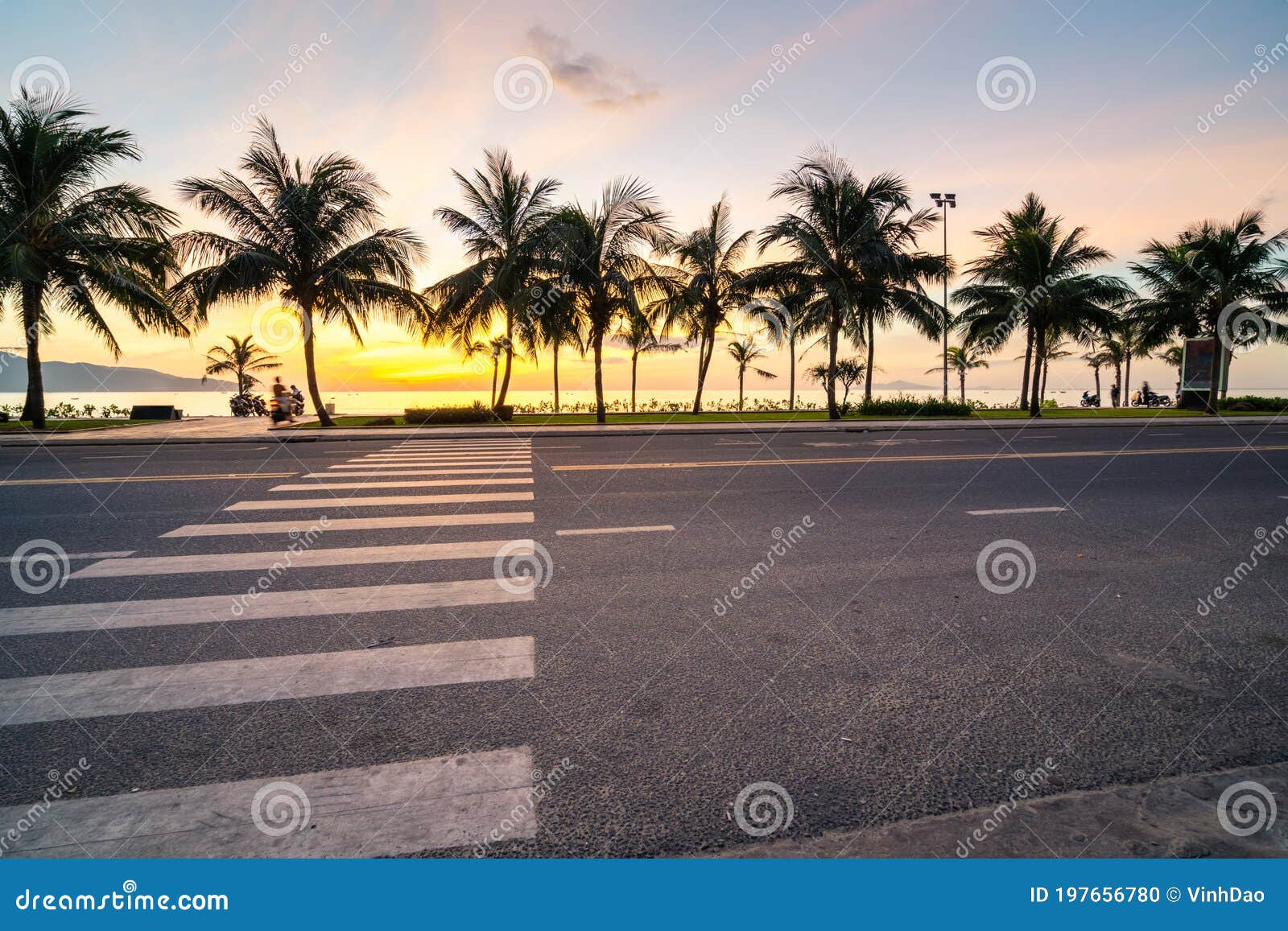 Road Crossing with Coconut Tree Line by Beach at Sunrise Stock Photo ...