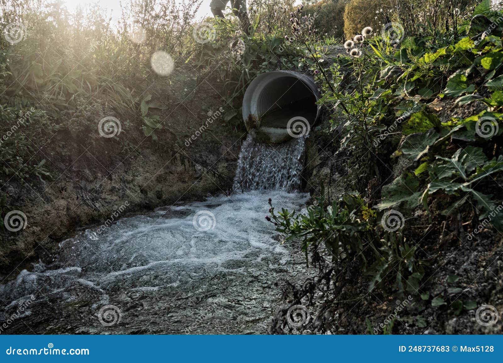 Road culvert in the fall stock image. Image of runoff - 248737683