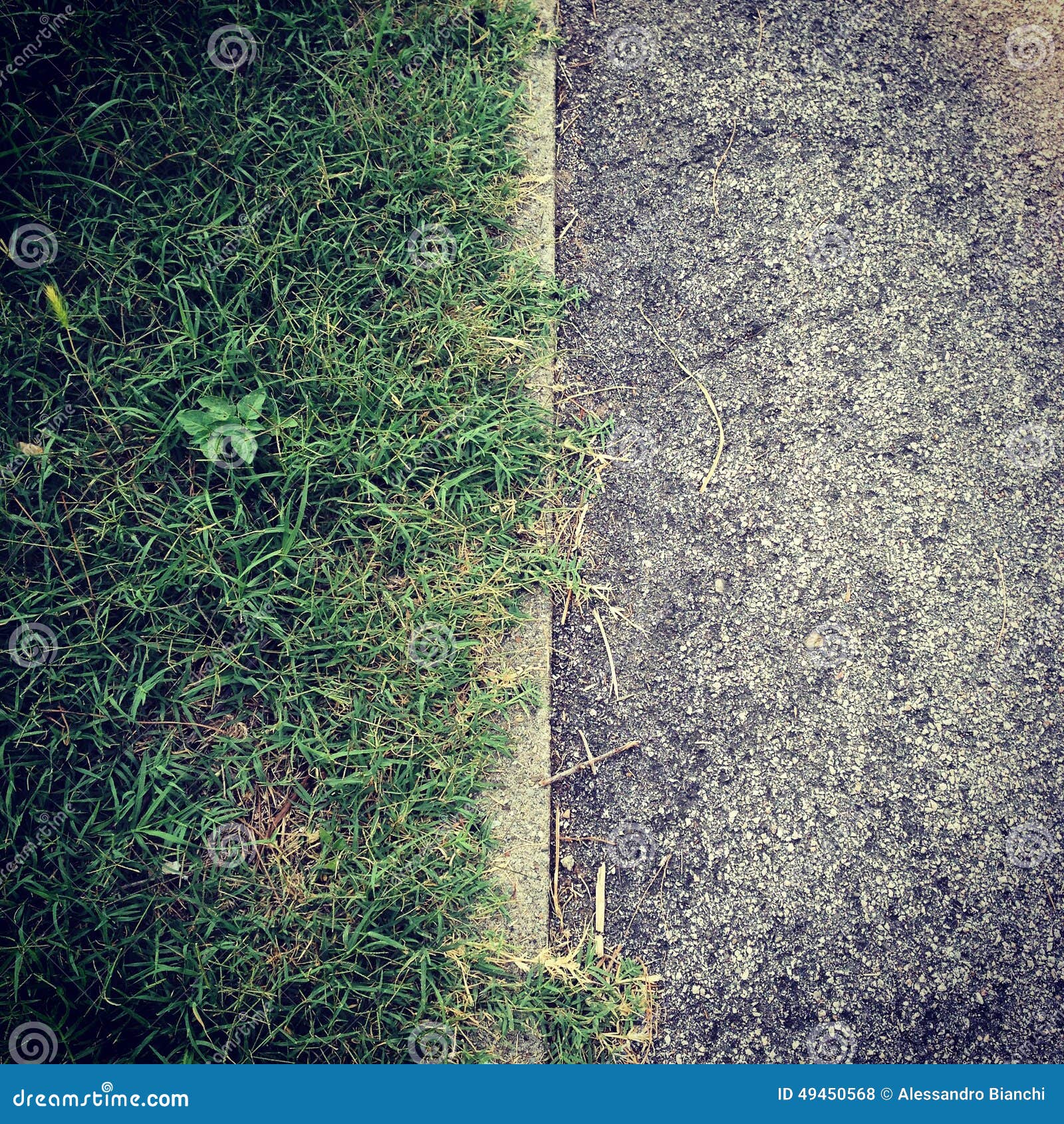 Road and curb with grass stock photo. Image of overgrown - 49450568