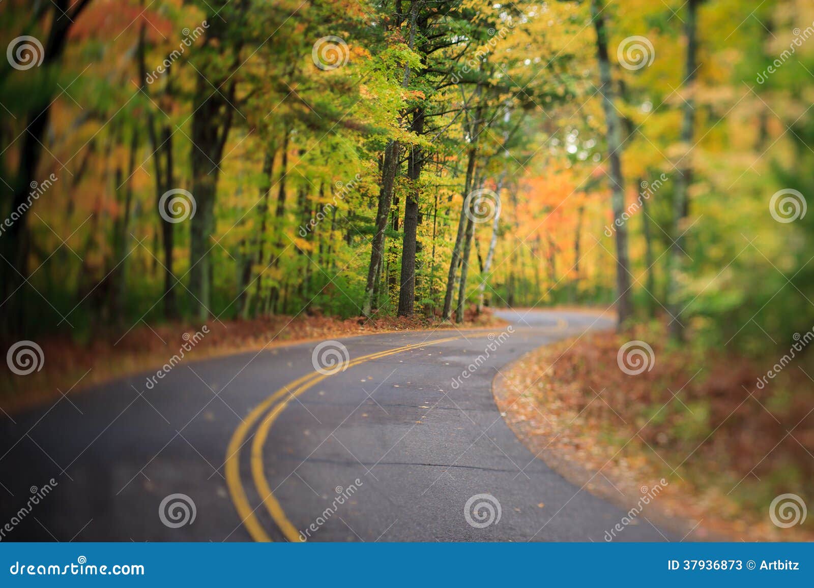 Road with Curve through Autumn Forest in Wisconsin Stock Image - Image ...