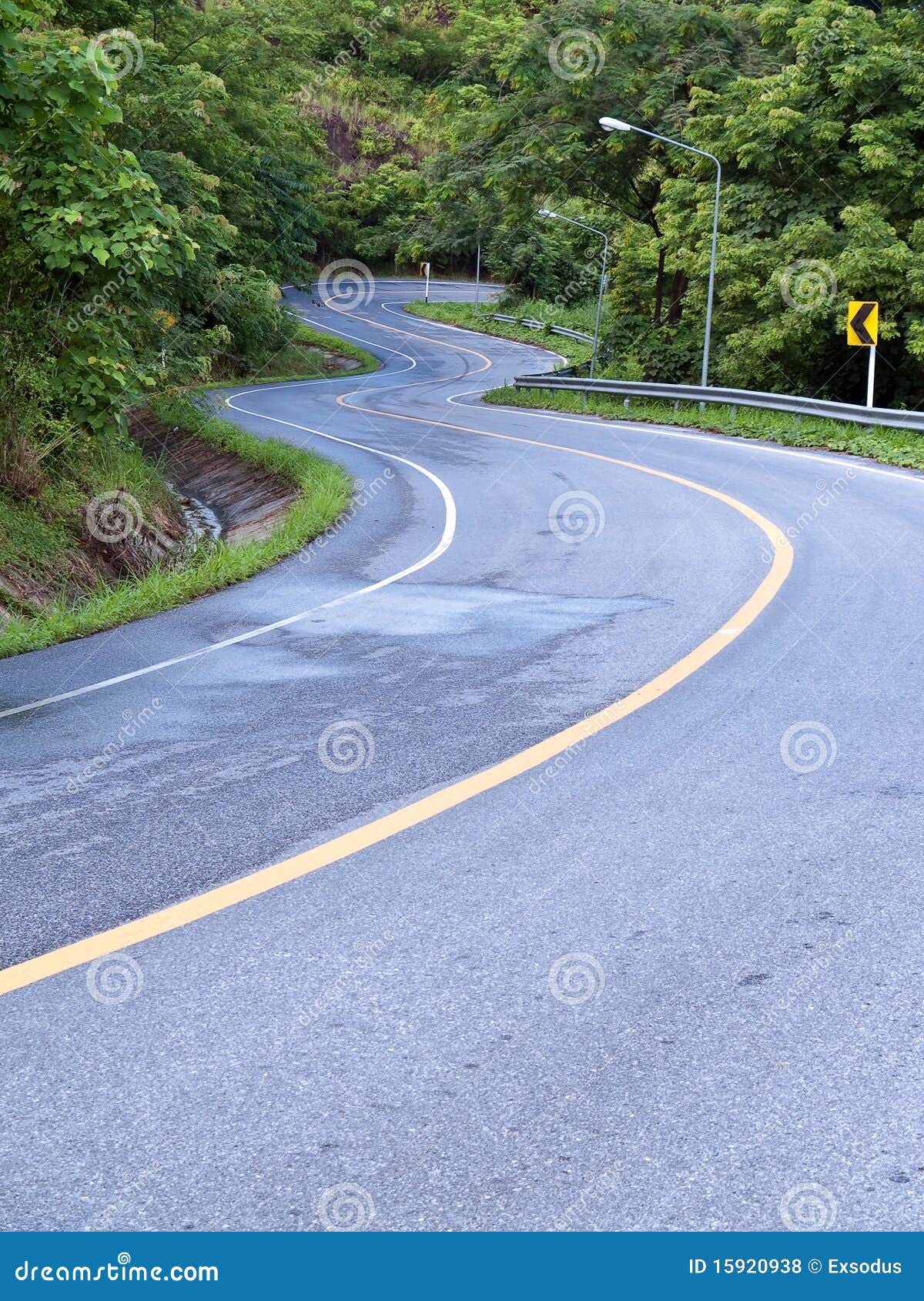 Road curves stock photo. Image of growth, hill, plant - 15920938