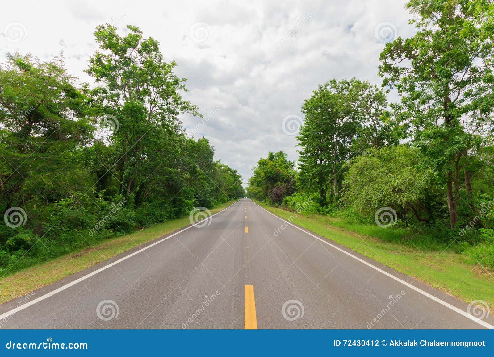 Road Cutting Straight Trough the Forest Stock Photo - Image of scenics ...