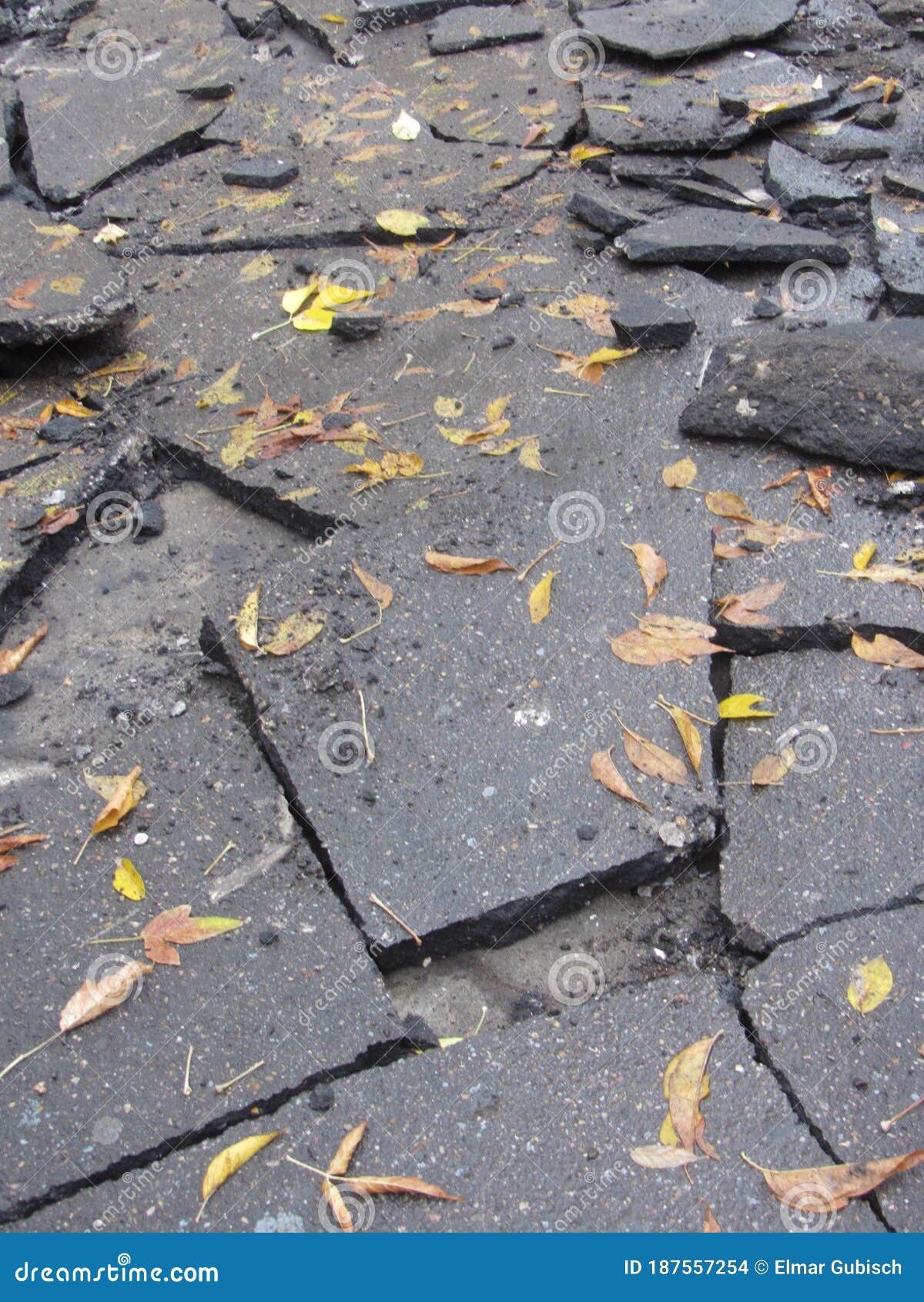 Road Damage, Damage To Pavement Stock Photo - Image of infrastructure ...