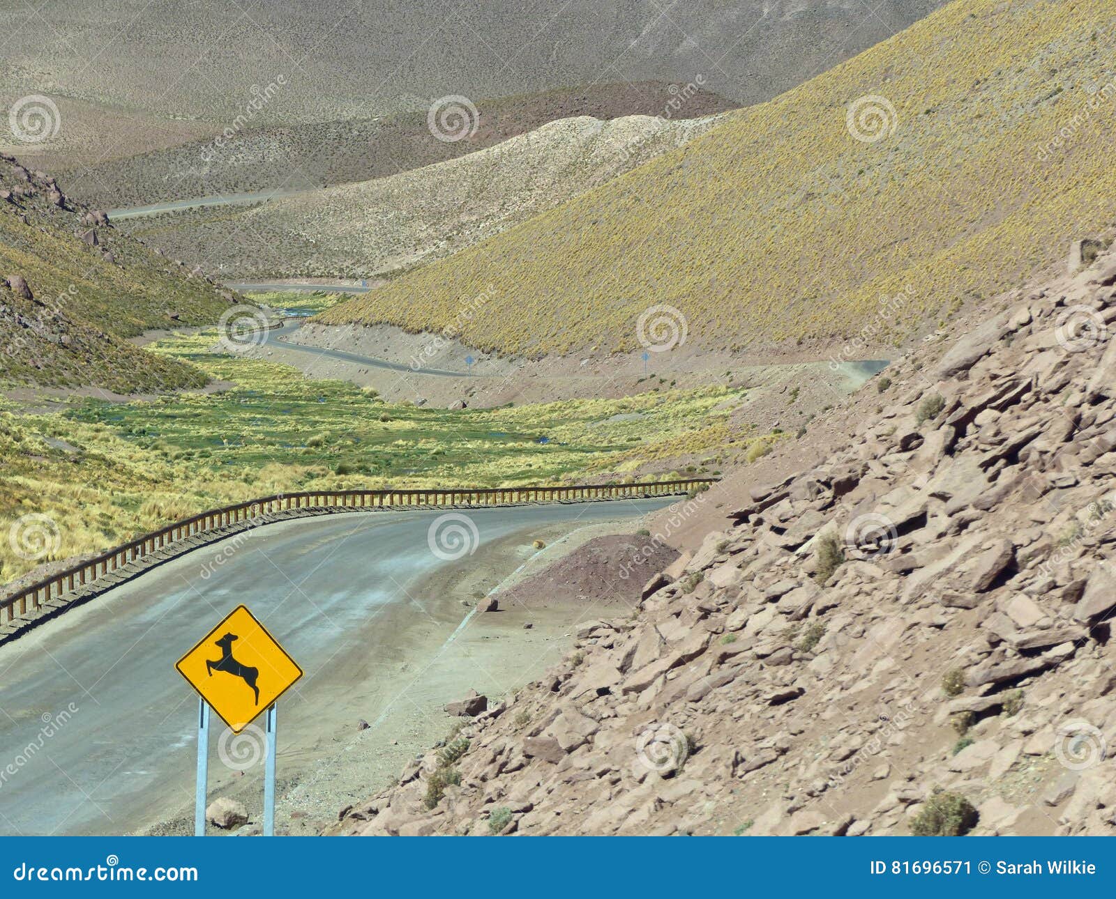 Road through the Desert, Atacama, Chile Stock Image - Image of desert ...
