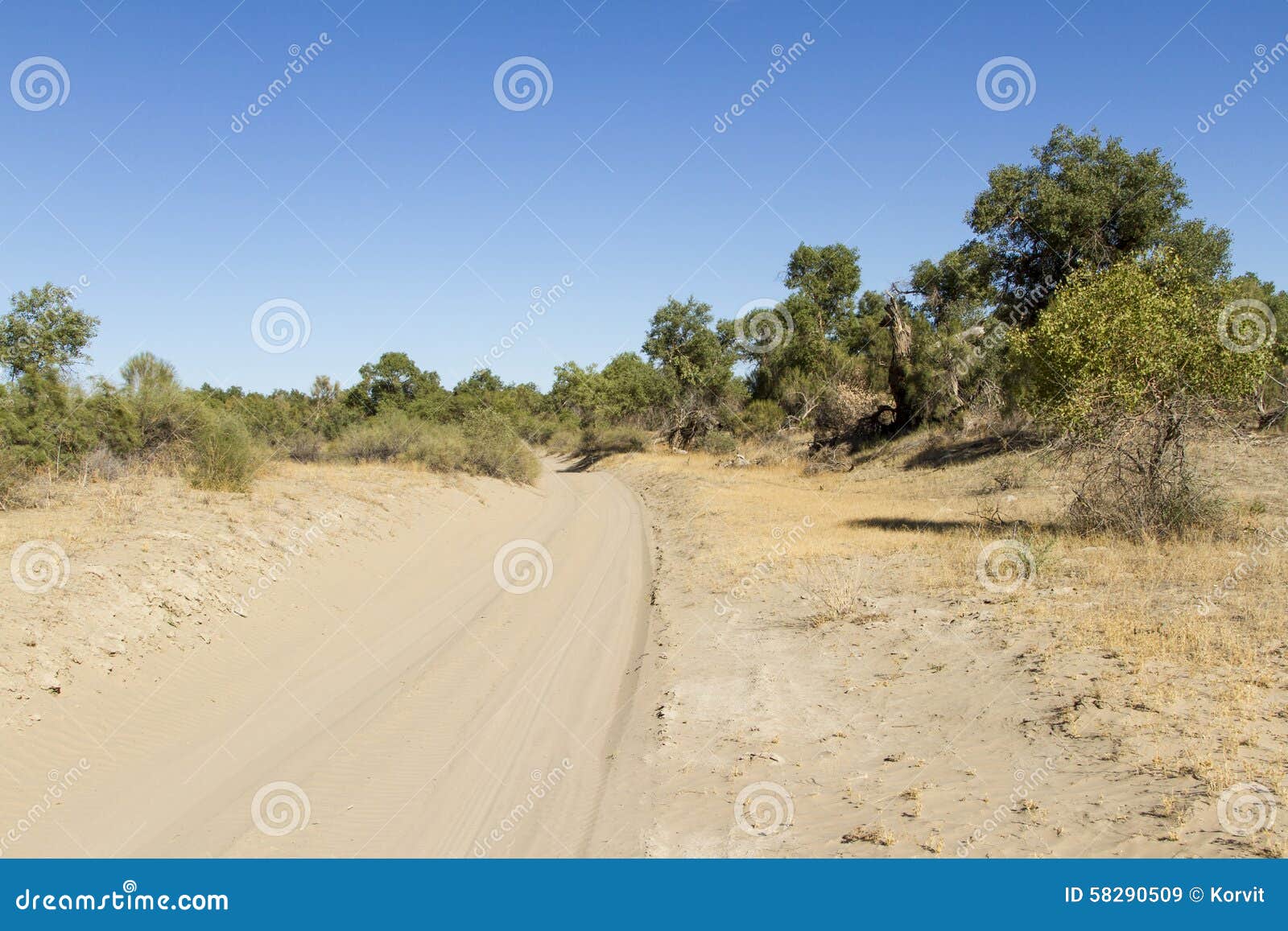 Road in the desert of sand stock image. Image of outdoors - 58290509