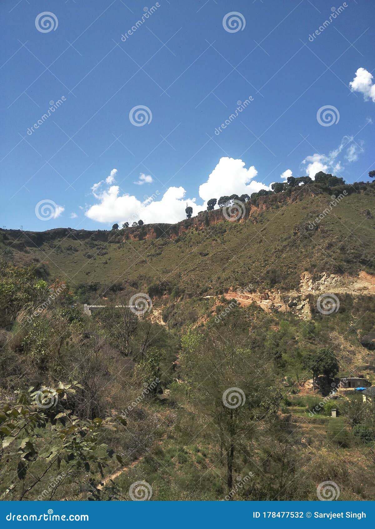 Road destroy vegetation stock photo. Image of terrain - 178477532