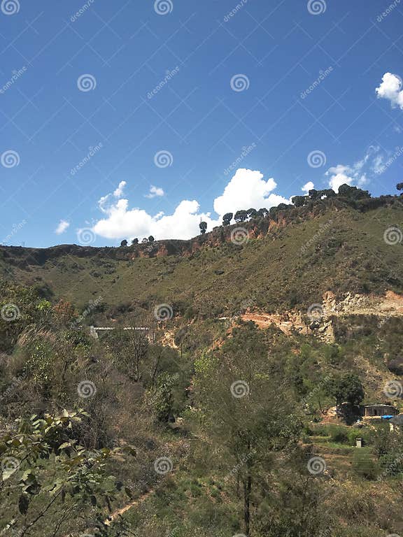 Road destroy vegetation stock photo. Image of terrain - 178477532