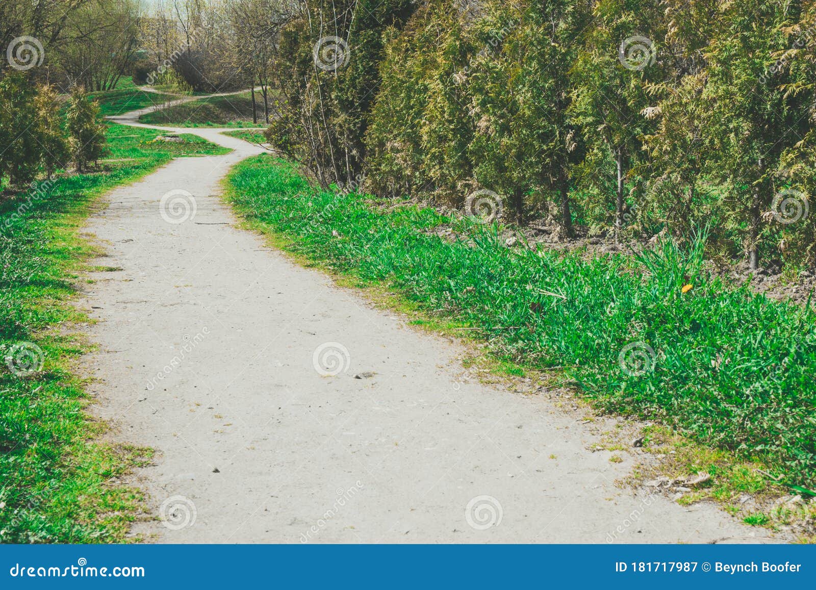 Road into the Distance, Nature. a Path Extending Far between Bushes and ...