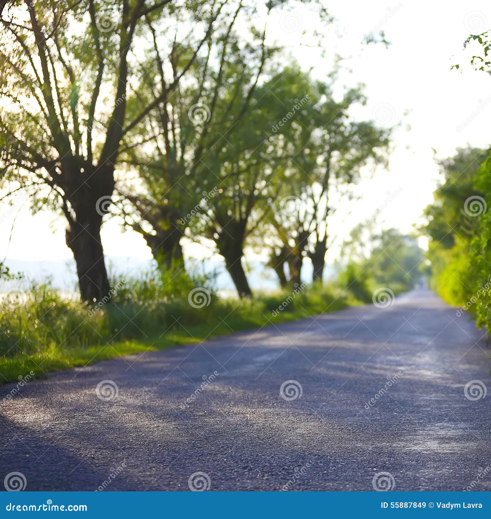Road into the distance stock image. Image of color, distant - 55887849