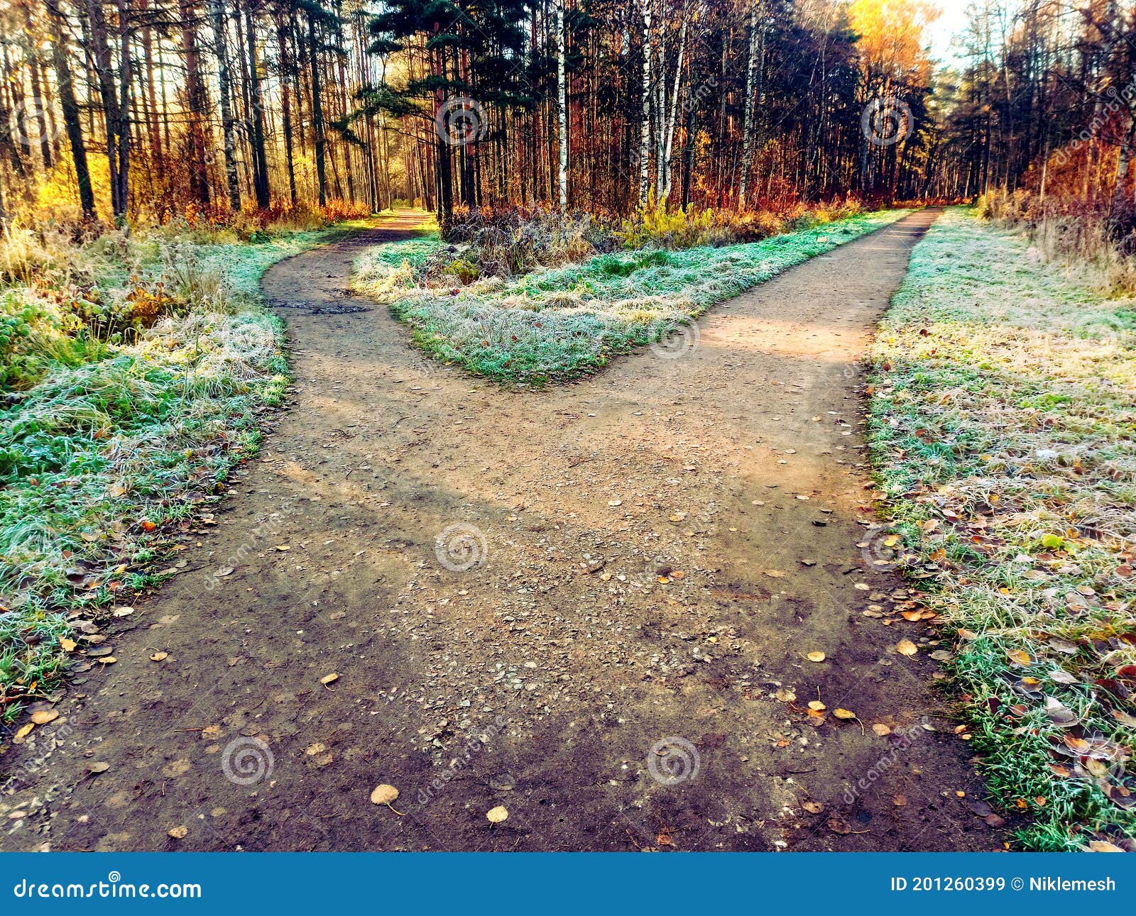 The Road is Divided into Two Alleys, Diverging in Different Directions ...