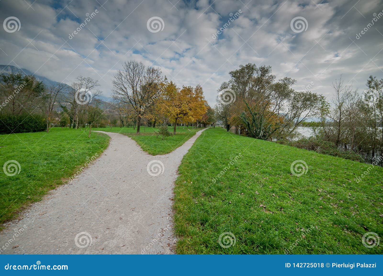 Road that divides stock photo. Image of deviation, rest - 142725018
