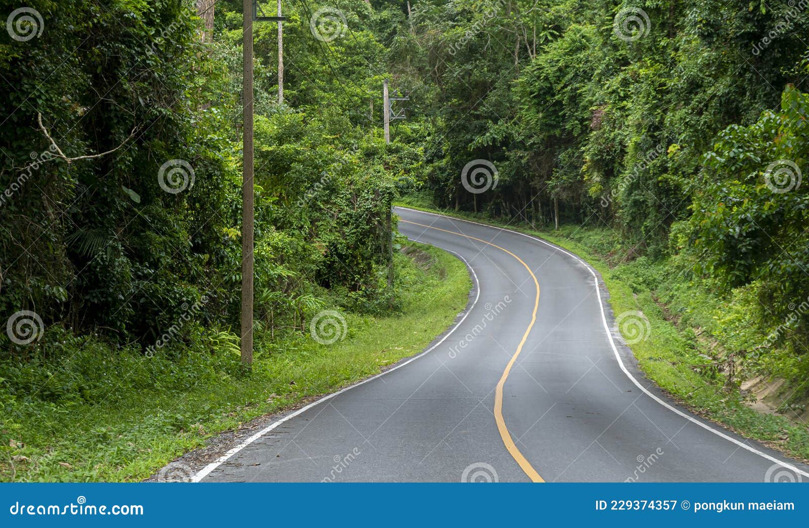 The road is downhill. stock image. Image of path, outdoors - 229374357