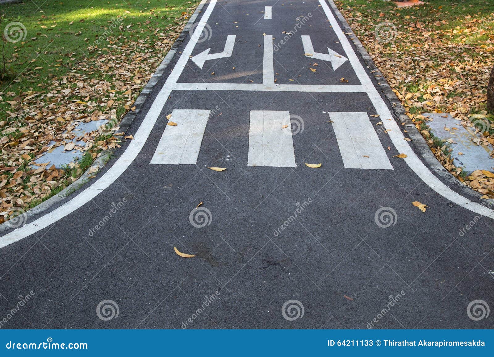 Road driving classes stock image. Image of road, driving - 64211133