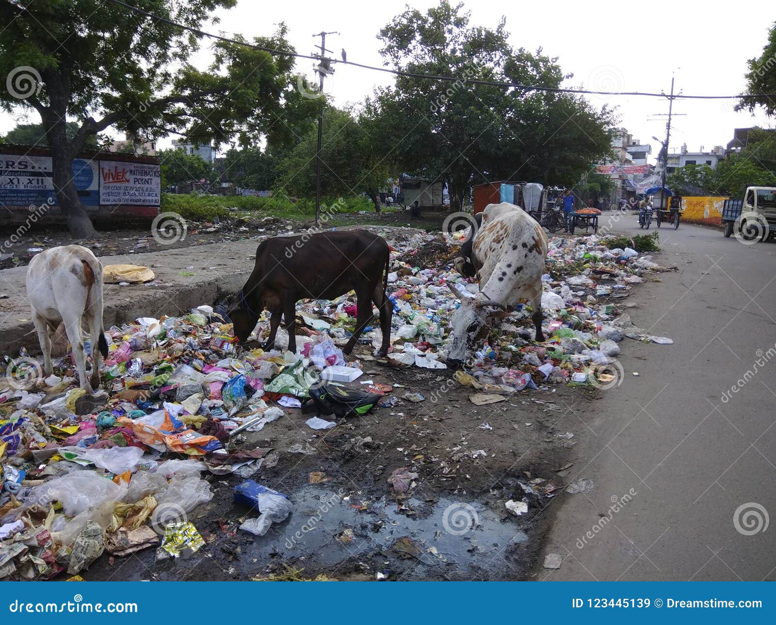Road or dustbin editorial stock image. Image of food - 123445139