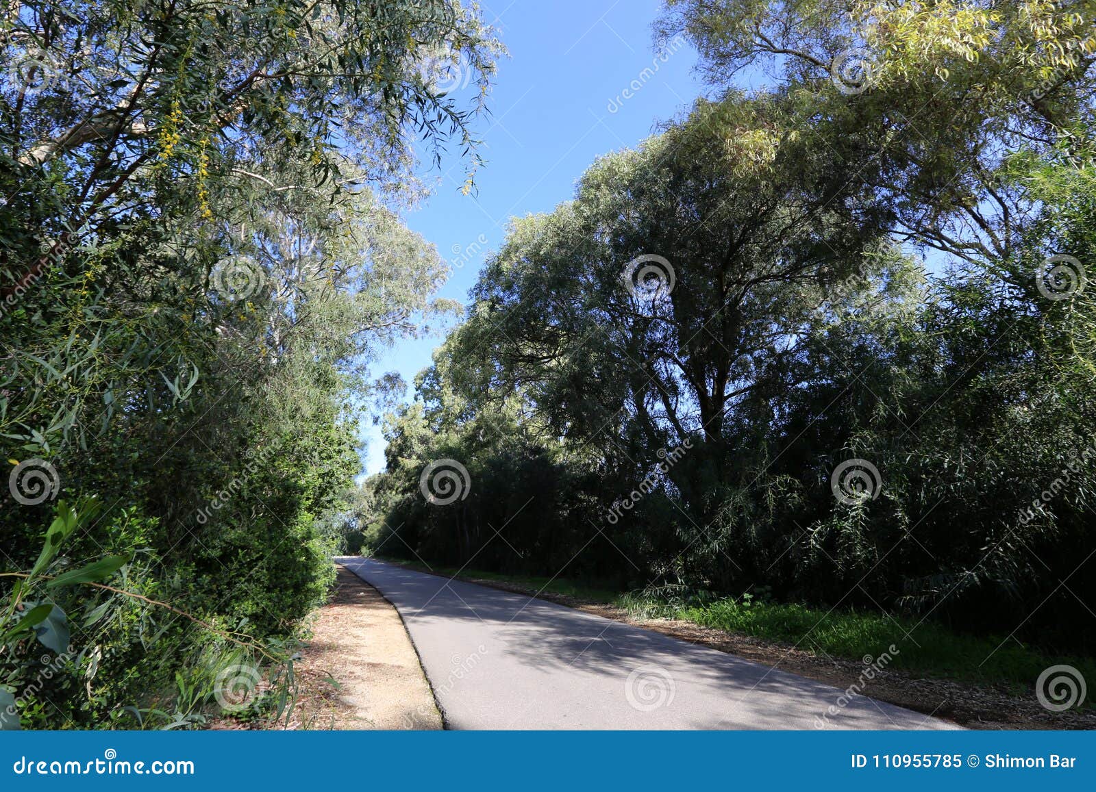 The road into the distance stock image. Image of walk - 110955785
