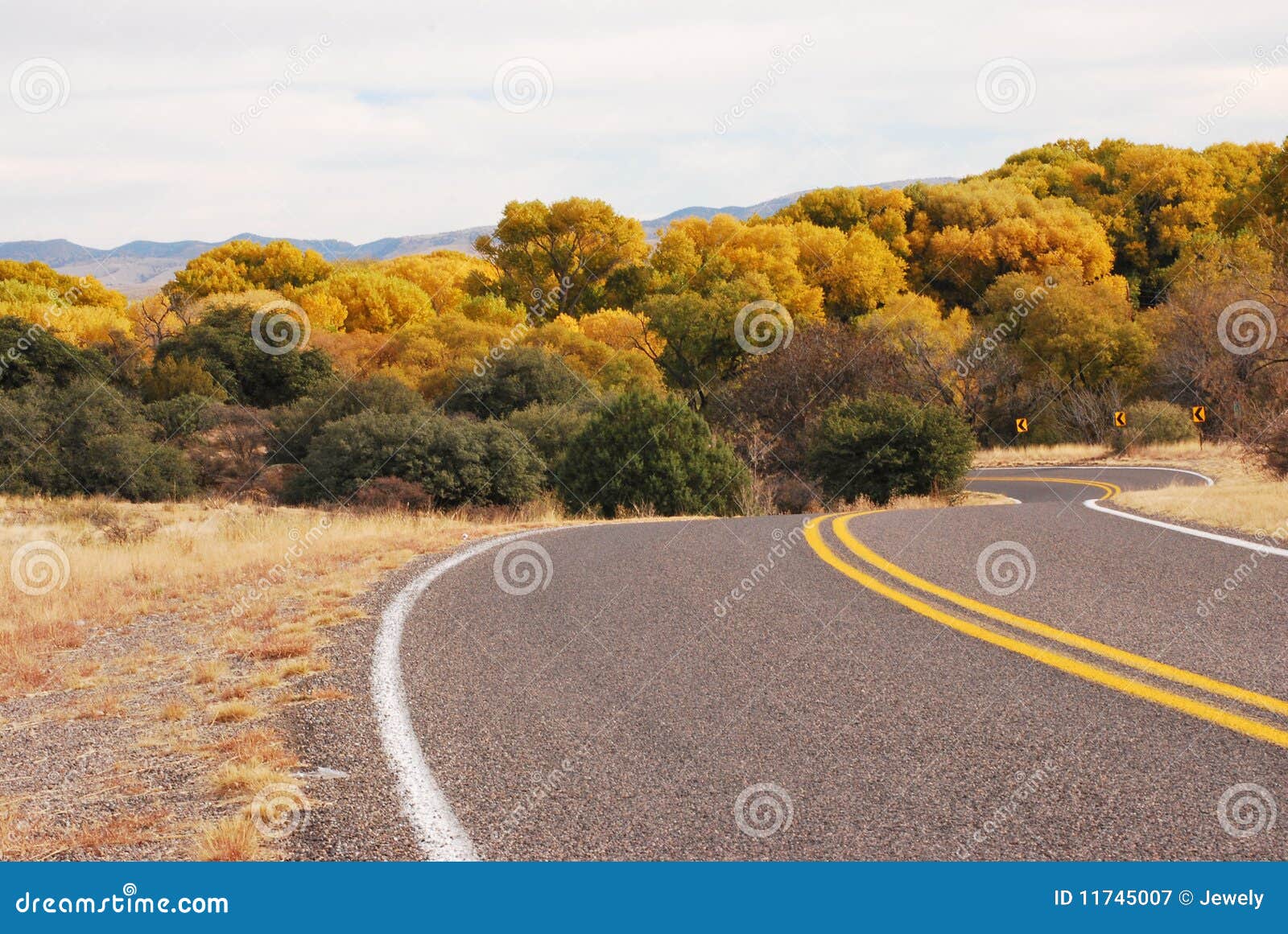The road into fall stock image. Image of fall, hybernate - 11745007