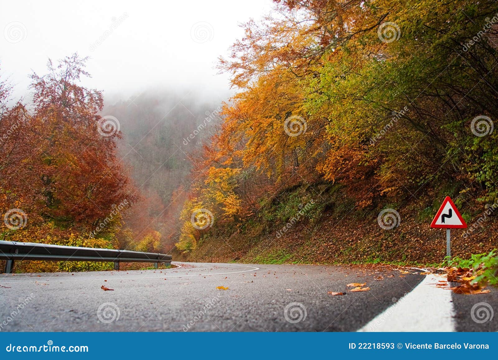 Road in the fall stock image. Image of asphalt, climate - 22218593
